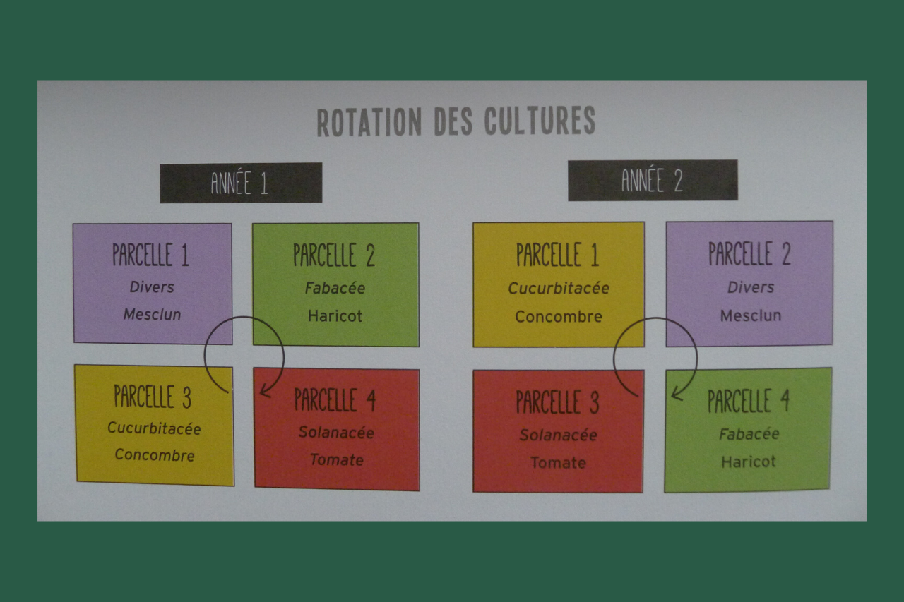 3 raisons de choisir le potager en carré